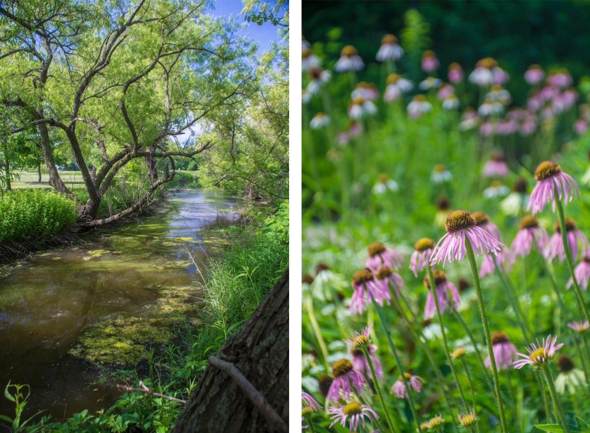 Kansas Botanical Gardens & Arboretums | Native Plants and Seasonal Blooms