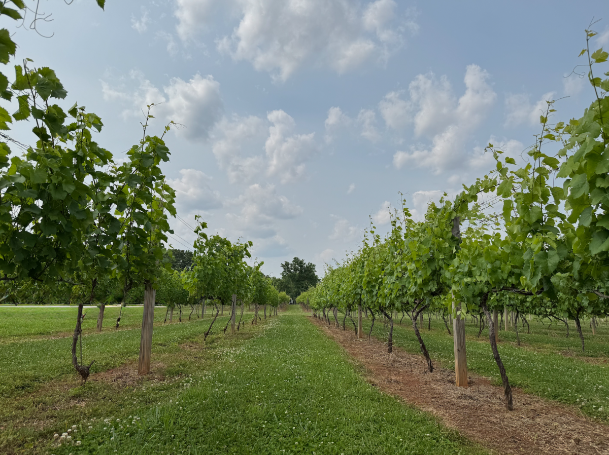 A Toast to Tradition: La Famiglia Winery Blends Family, Heritage, and ...