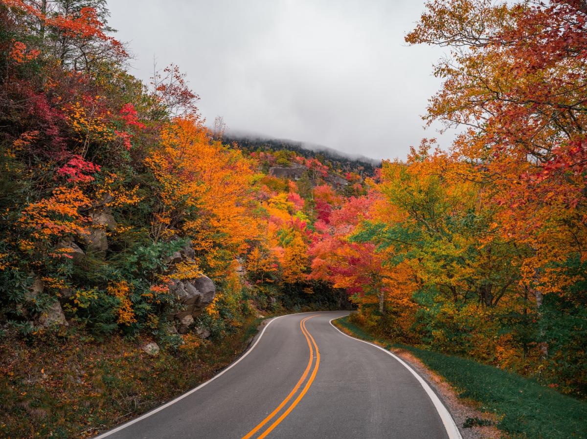 5 Scenic Drives in the Boone Area for Fall