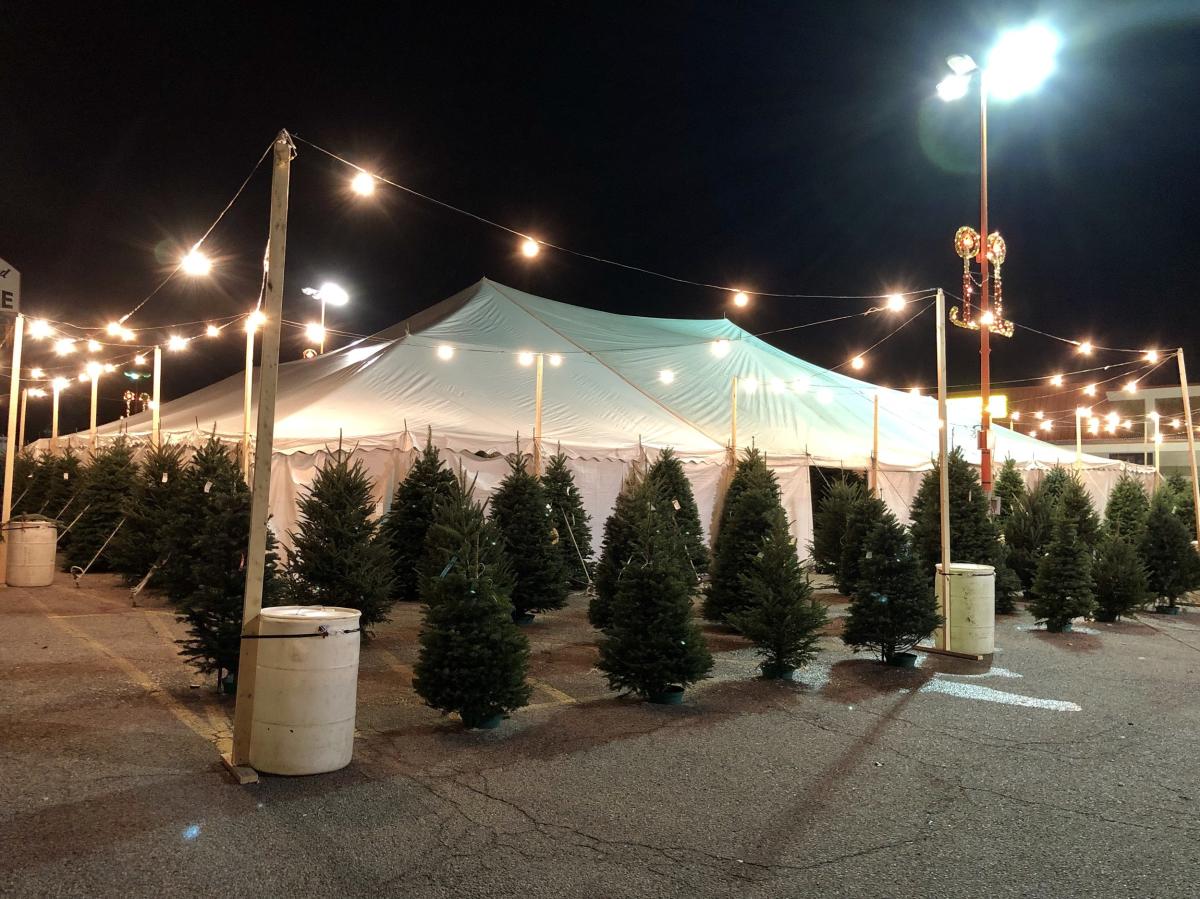 Where to Find Christmas Trees Around Dallas
