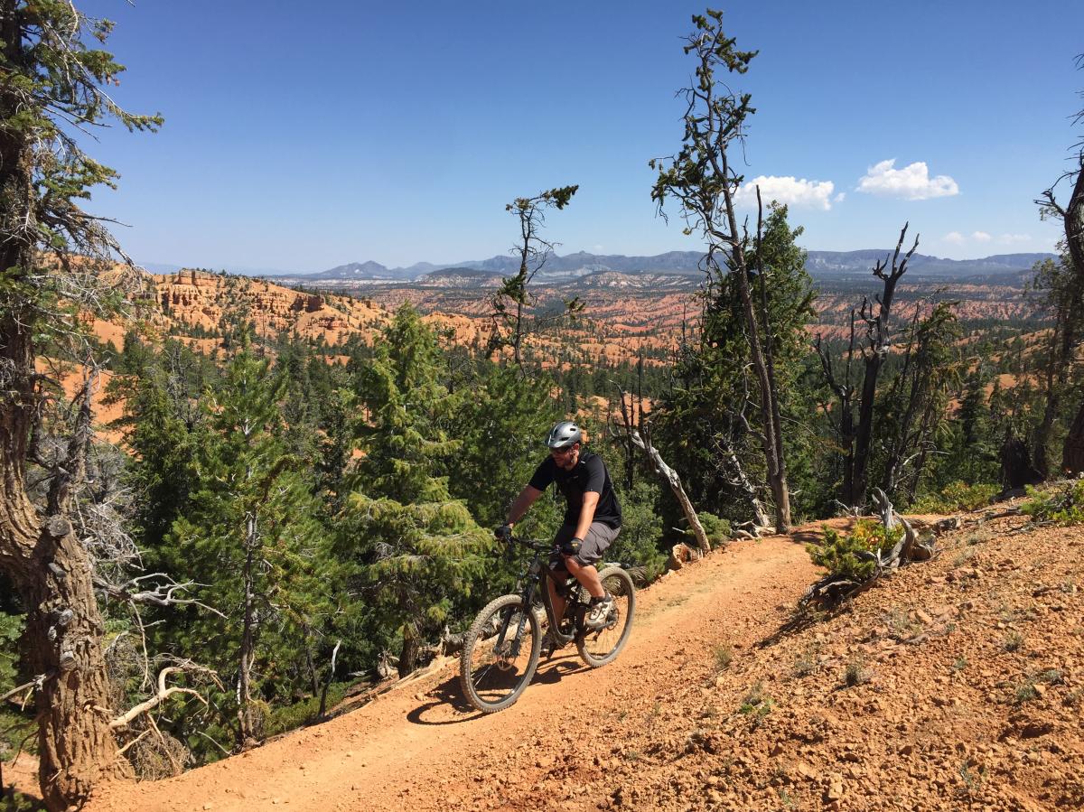 5 Signature Utah Mountain Biking Trails | Utah.com