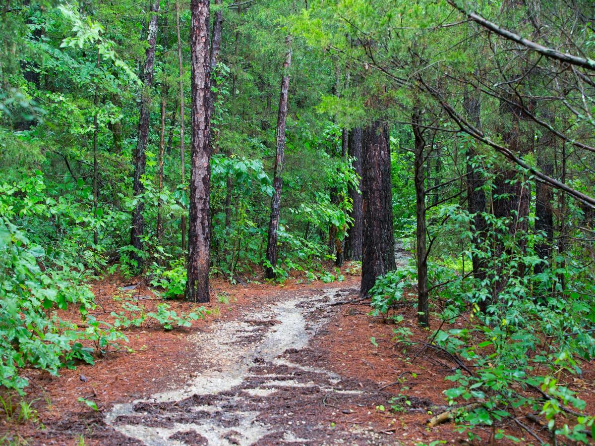 Hike or Bike the White River Valley Trail System