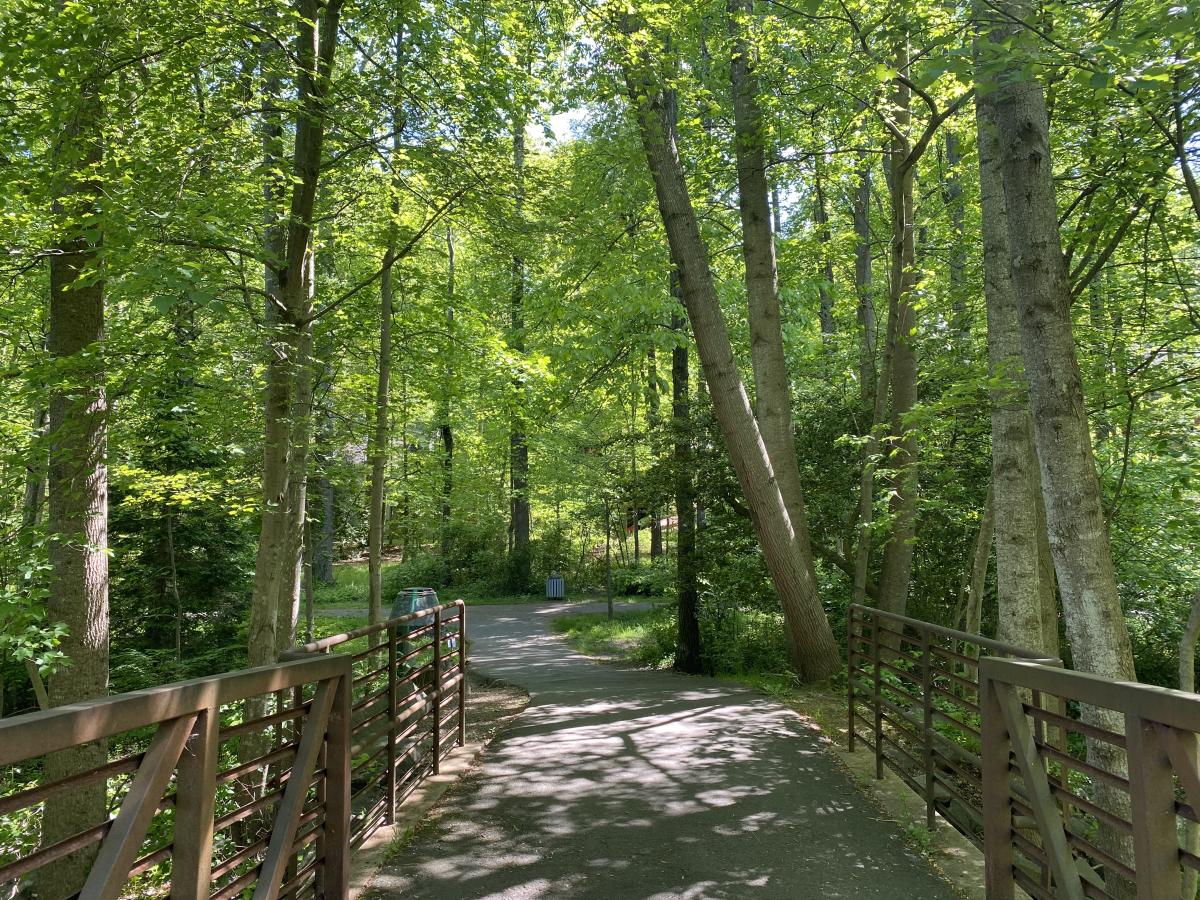 Best Animal Encounters & Petting Zoos in Northern Virginia