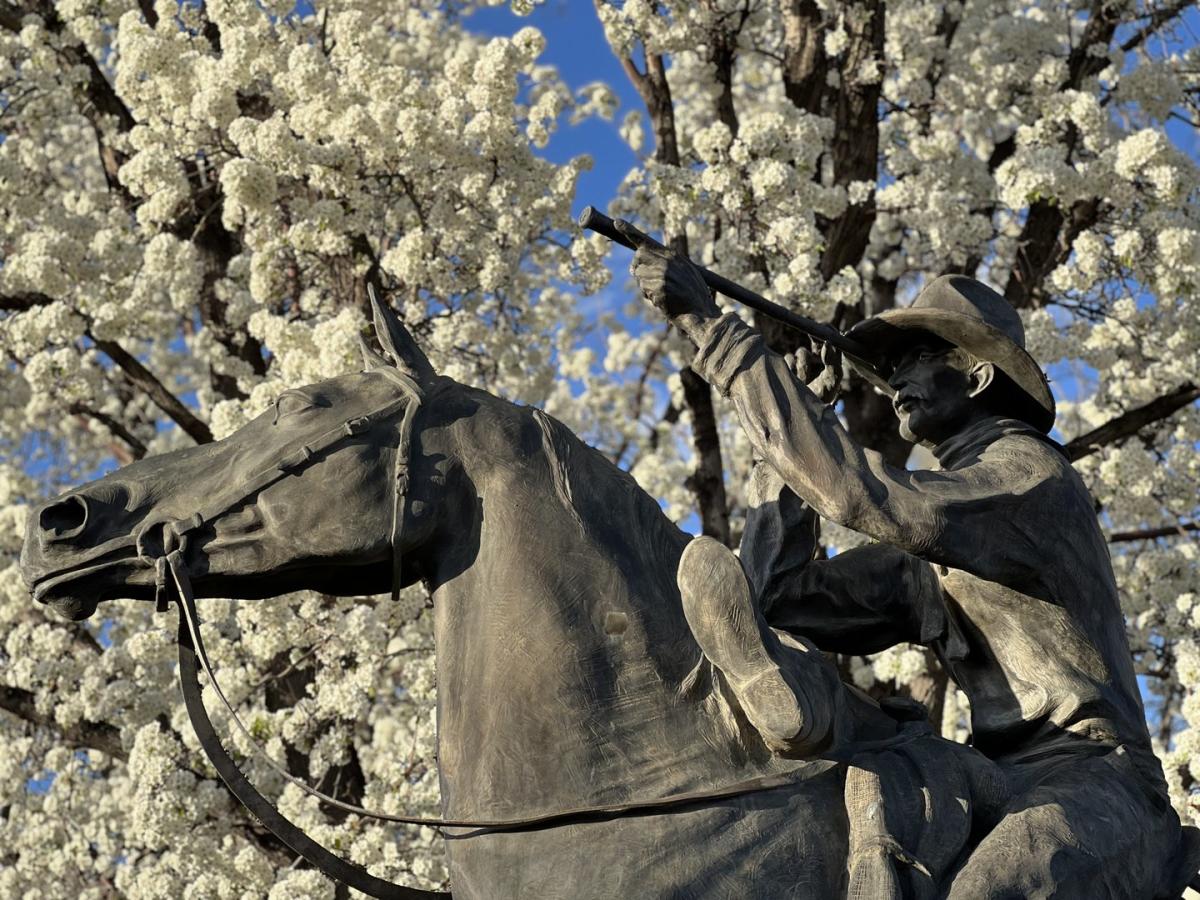 Keeping Grand Junction Beautiful