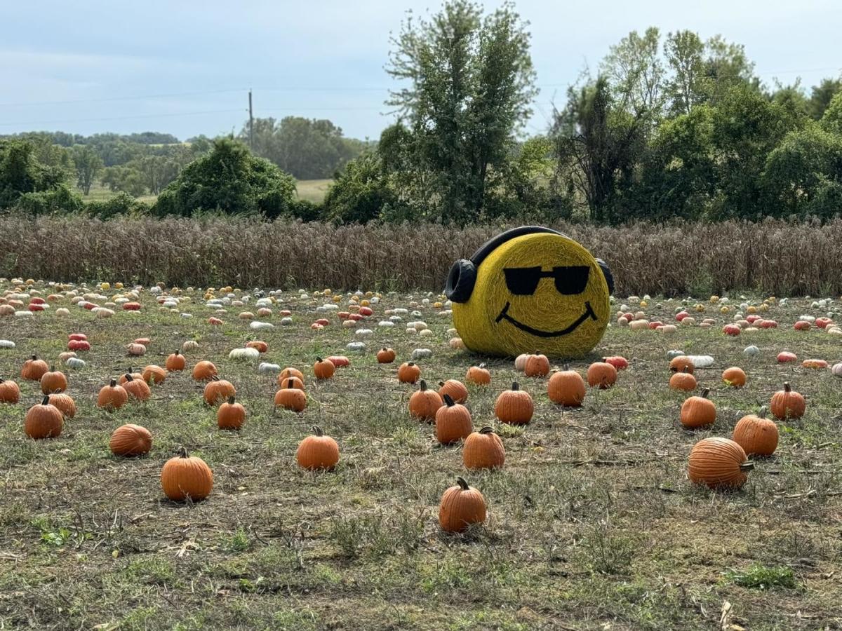 Fall Roaming the Kaw Valley Farm Tour
