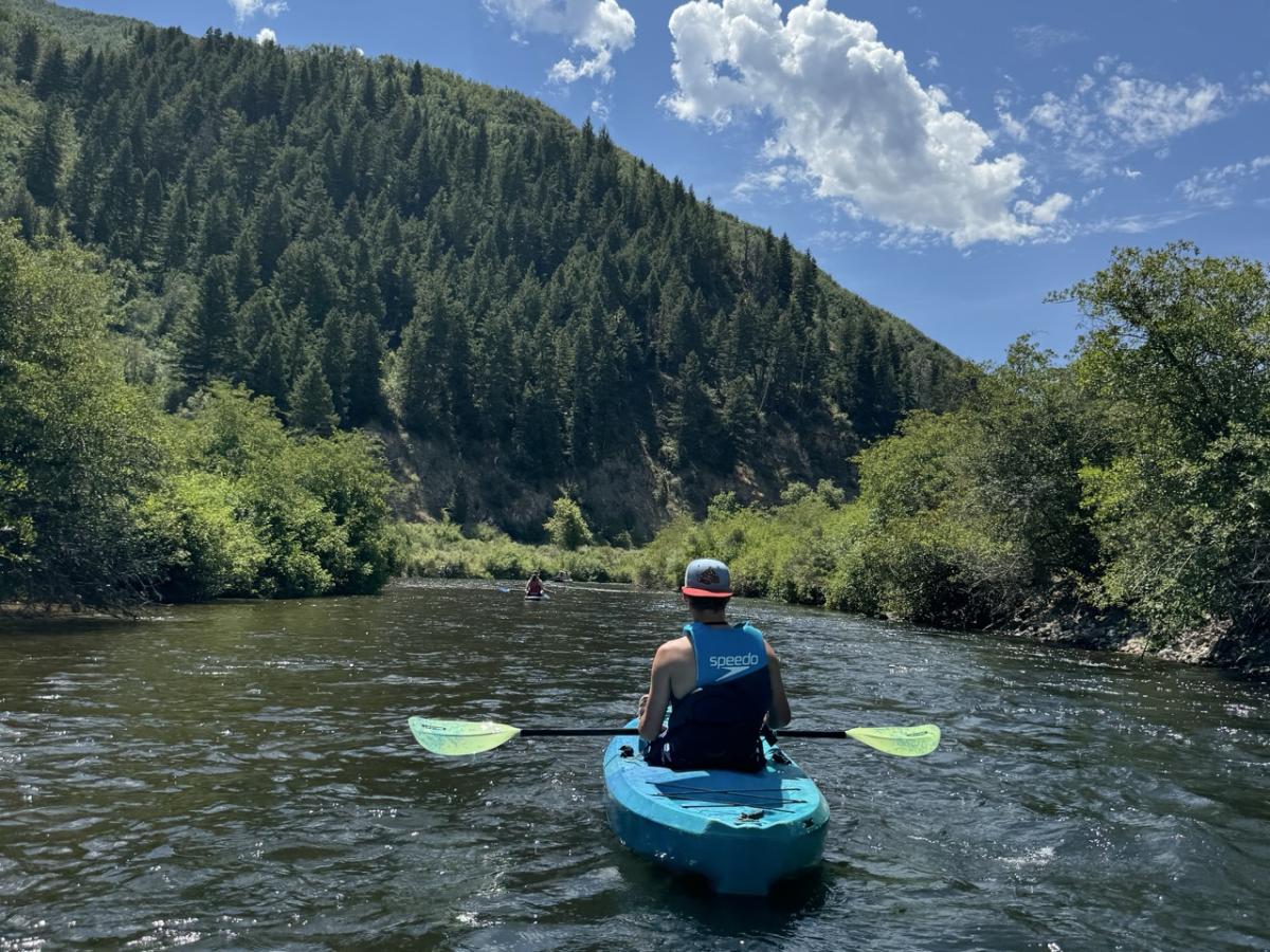 provo river activities