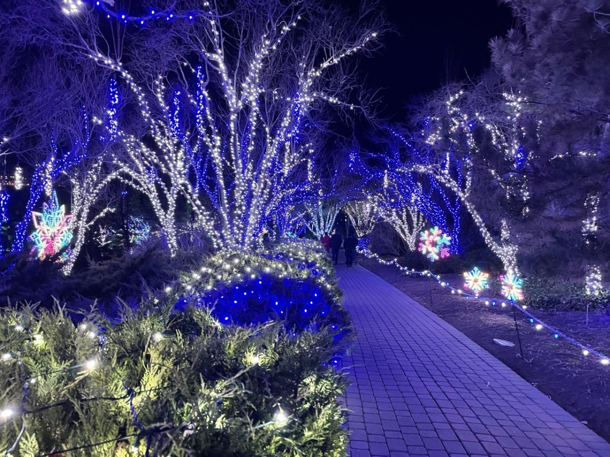 Utah's Largest Christmas Light Display | Guide to Luminaria at ...