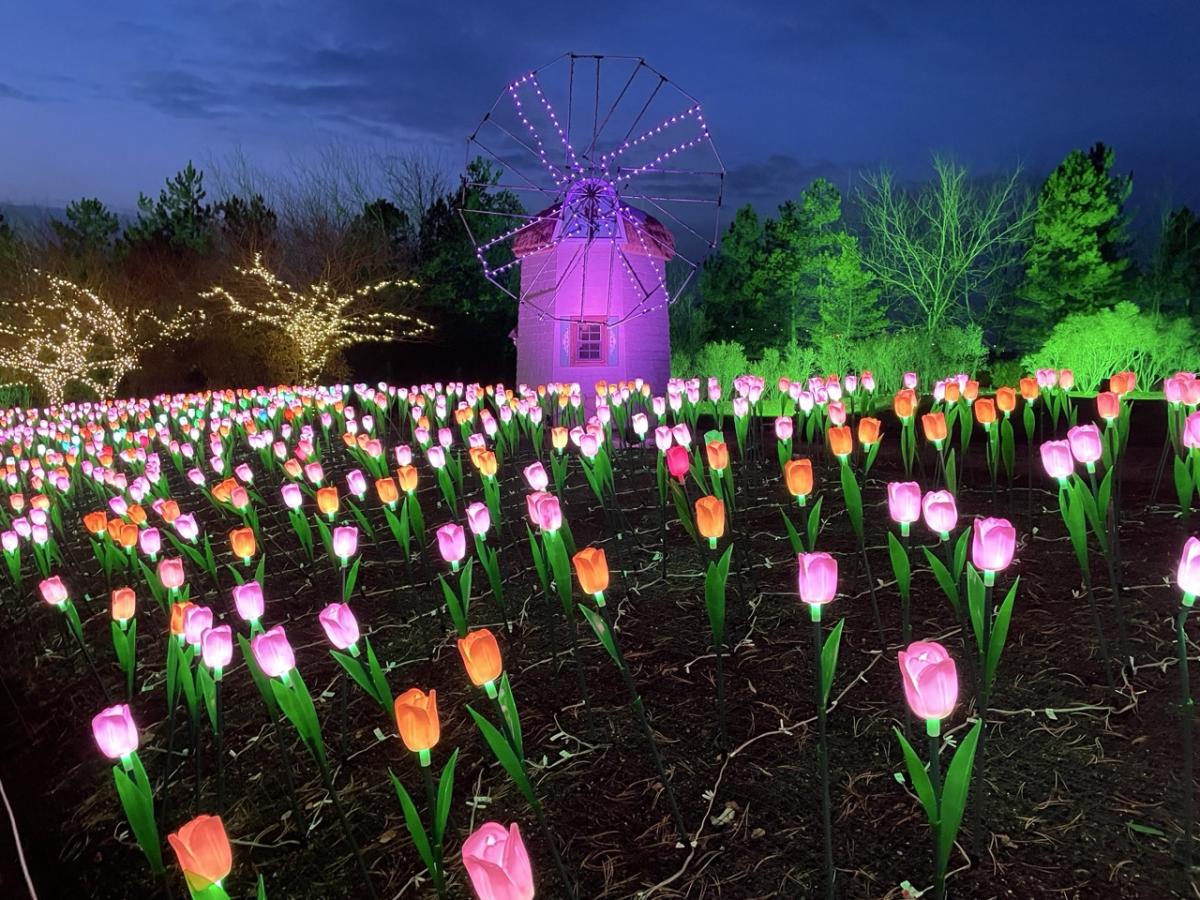 Utah's Largest Christmas Light Display | Guide to Luminaria at ...