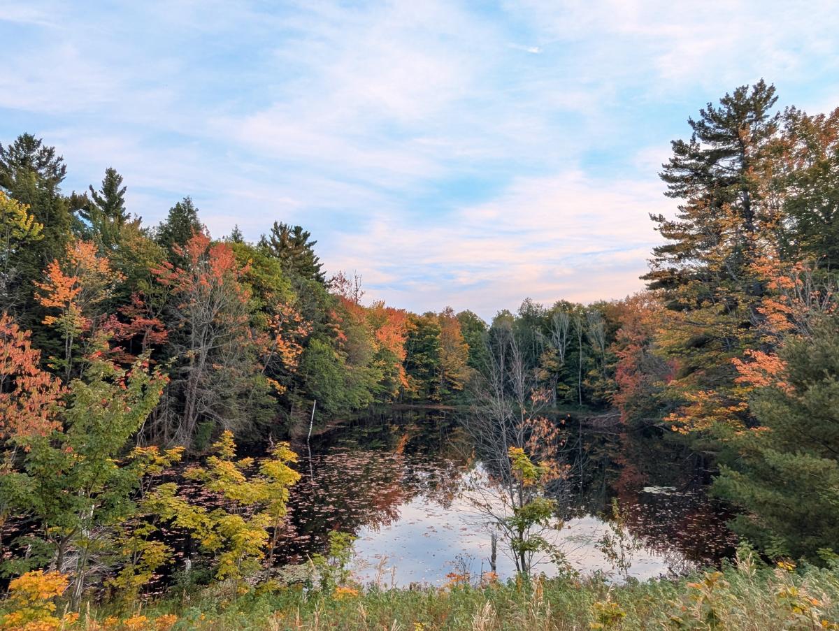 Keweenaw Fall Color Report