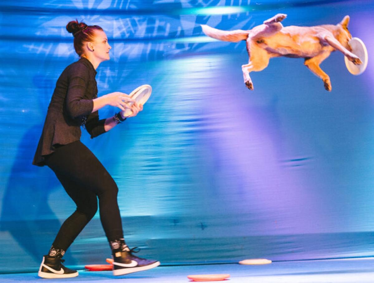 New Shows Coming to Branson in 2025