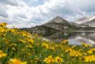 Top 5 Wyoming Campgrounds in the Snowy Range Mountains | Visit Laramie