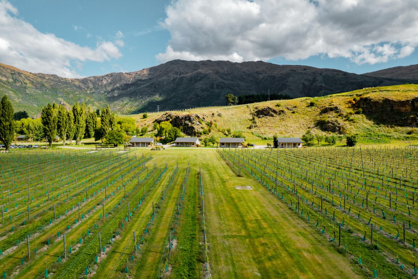 Queenstown’s Dog-Friendly Cafés and Accommodation