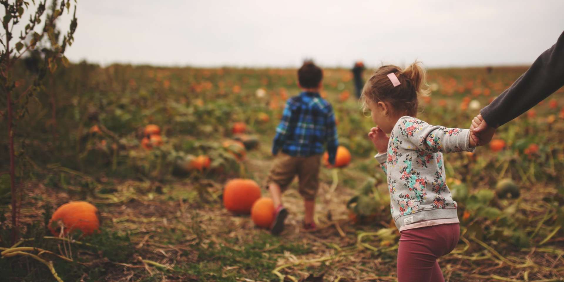 Southern Indiana's Fall Colors & Top Fall Things to Do