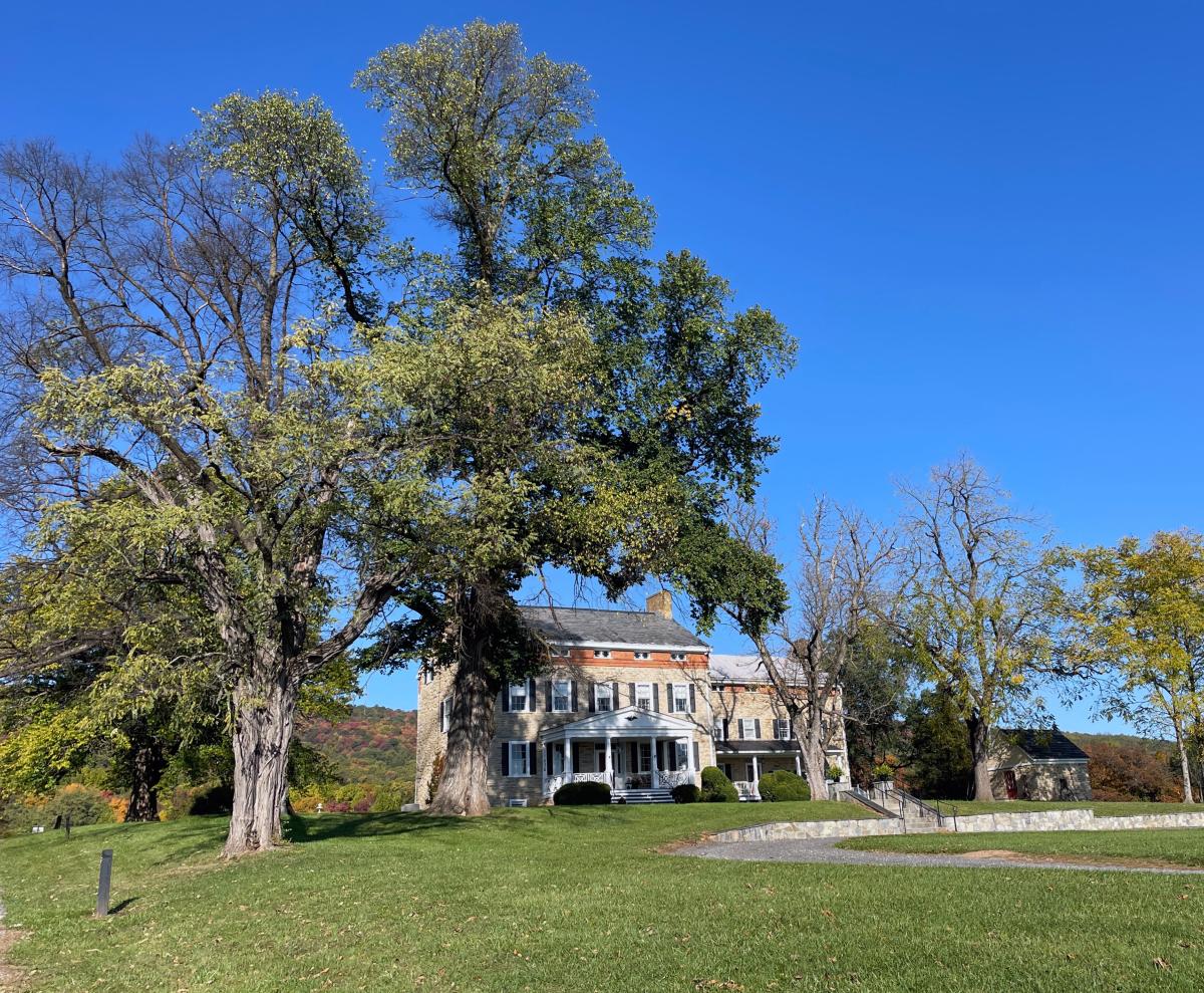 Bed & Breakfasts in Frederick County