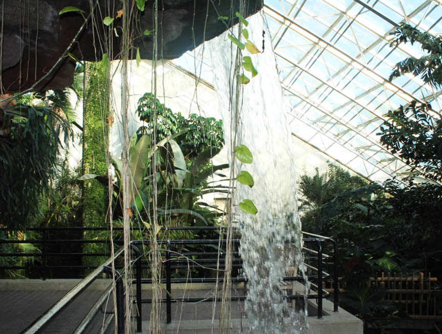 Explore the Botanical Conservatory