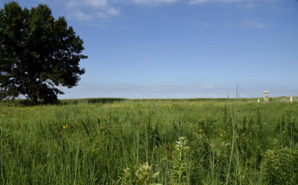 You Won't Believe The Butterflies and Wildflowers at This Western ...