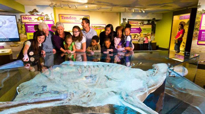 Celebrating a Century at The Children's Museum | Visit Indy