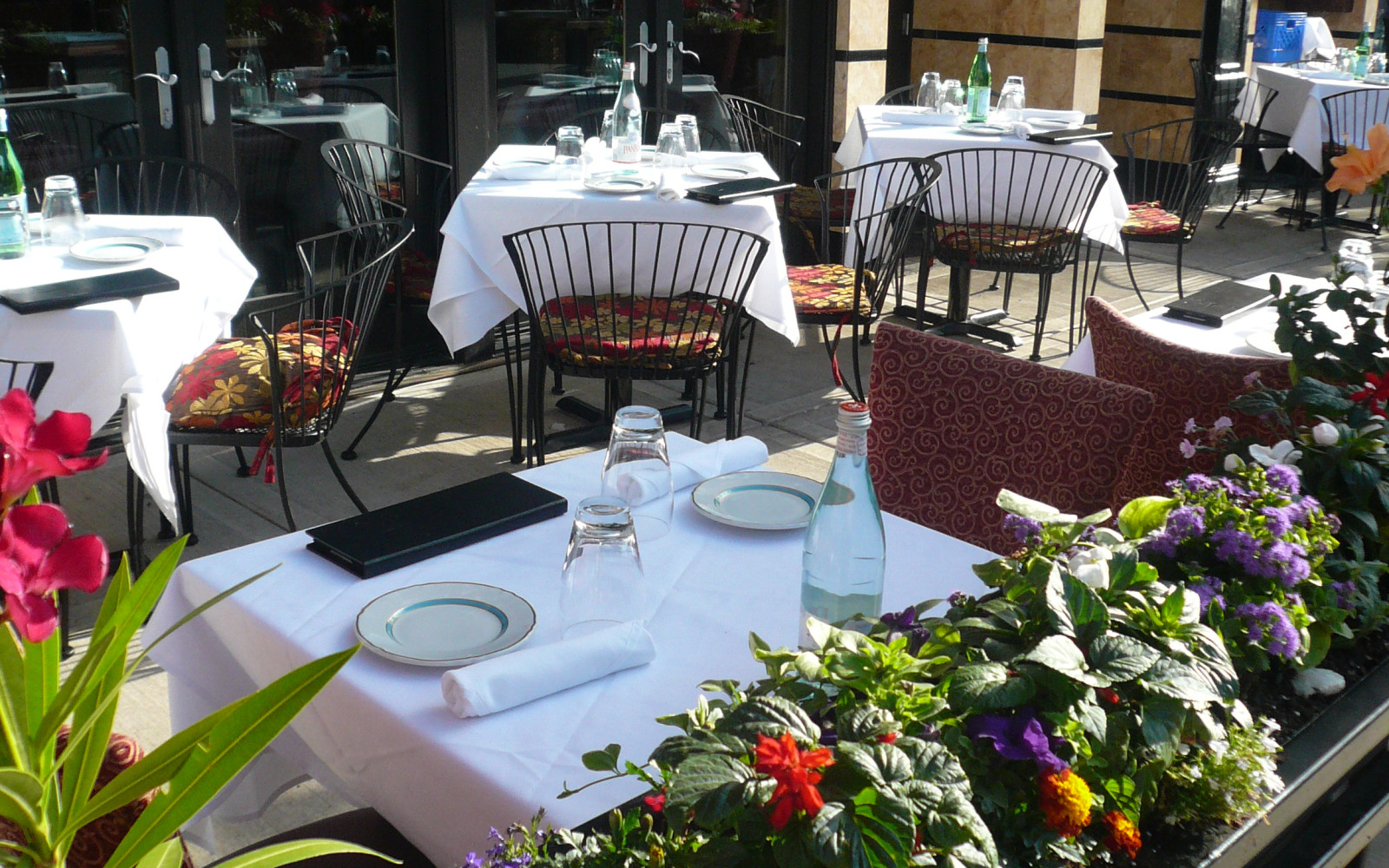 Nia | Choose Chicago