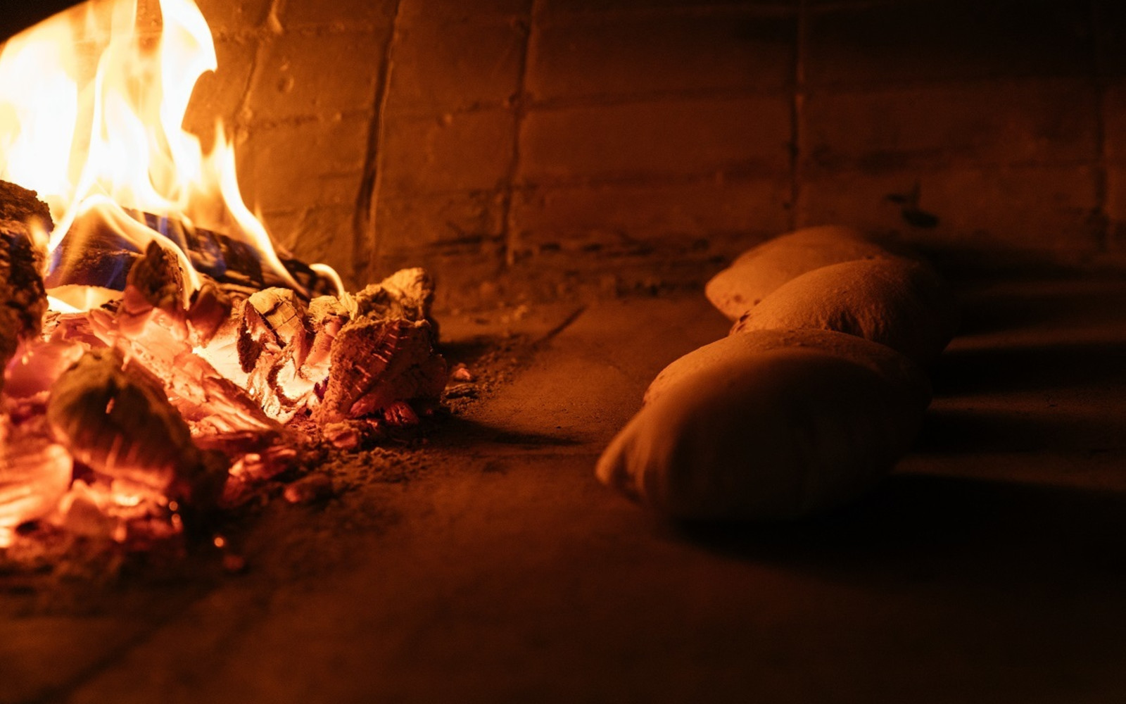 Galit | Choose Chicago