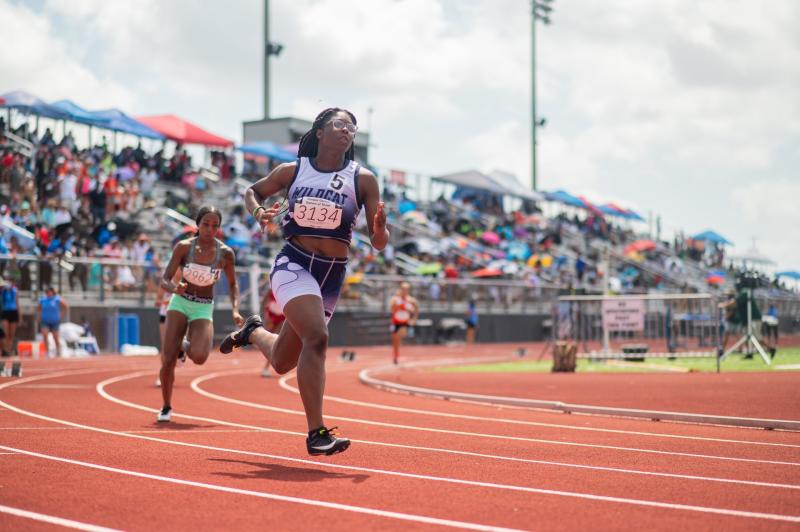 CC Sports Venues: American Bank Center