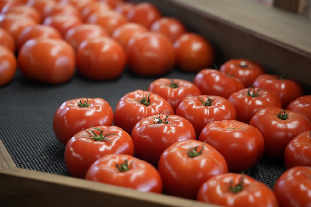 Sunnycrest Markets - Visit Schoharie County