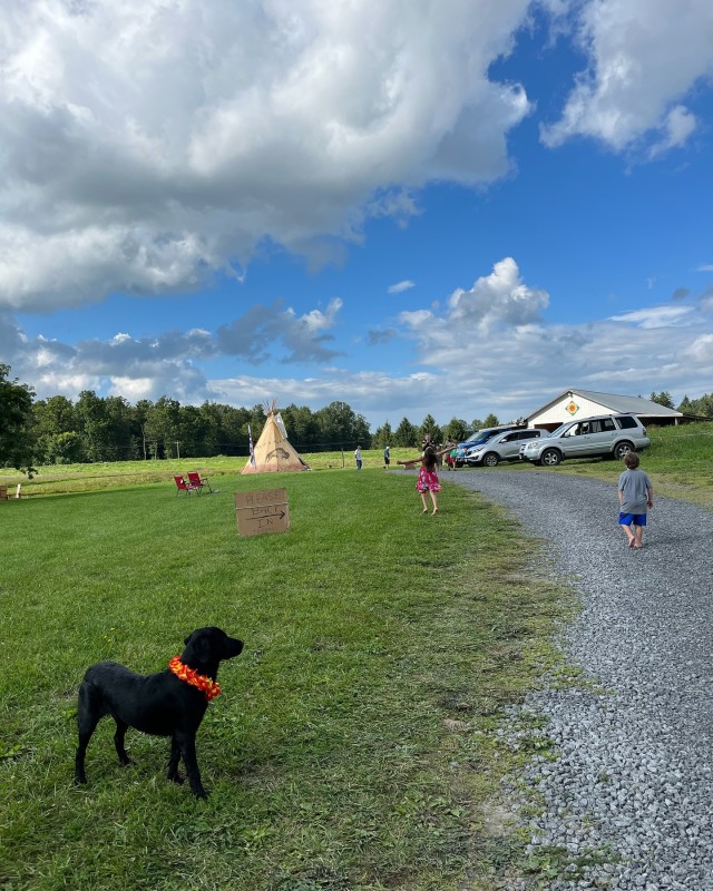Bison Island Ranch - Visit Schoharie County