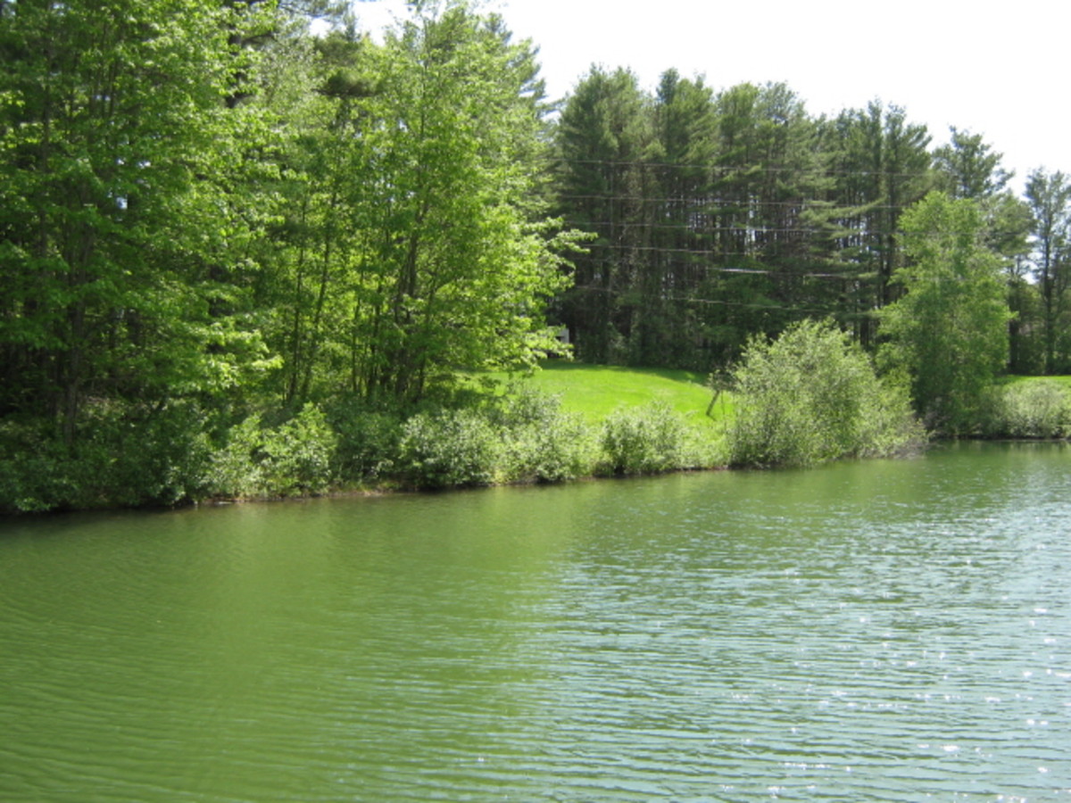 Cascadia Park | Visit Maine