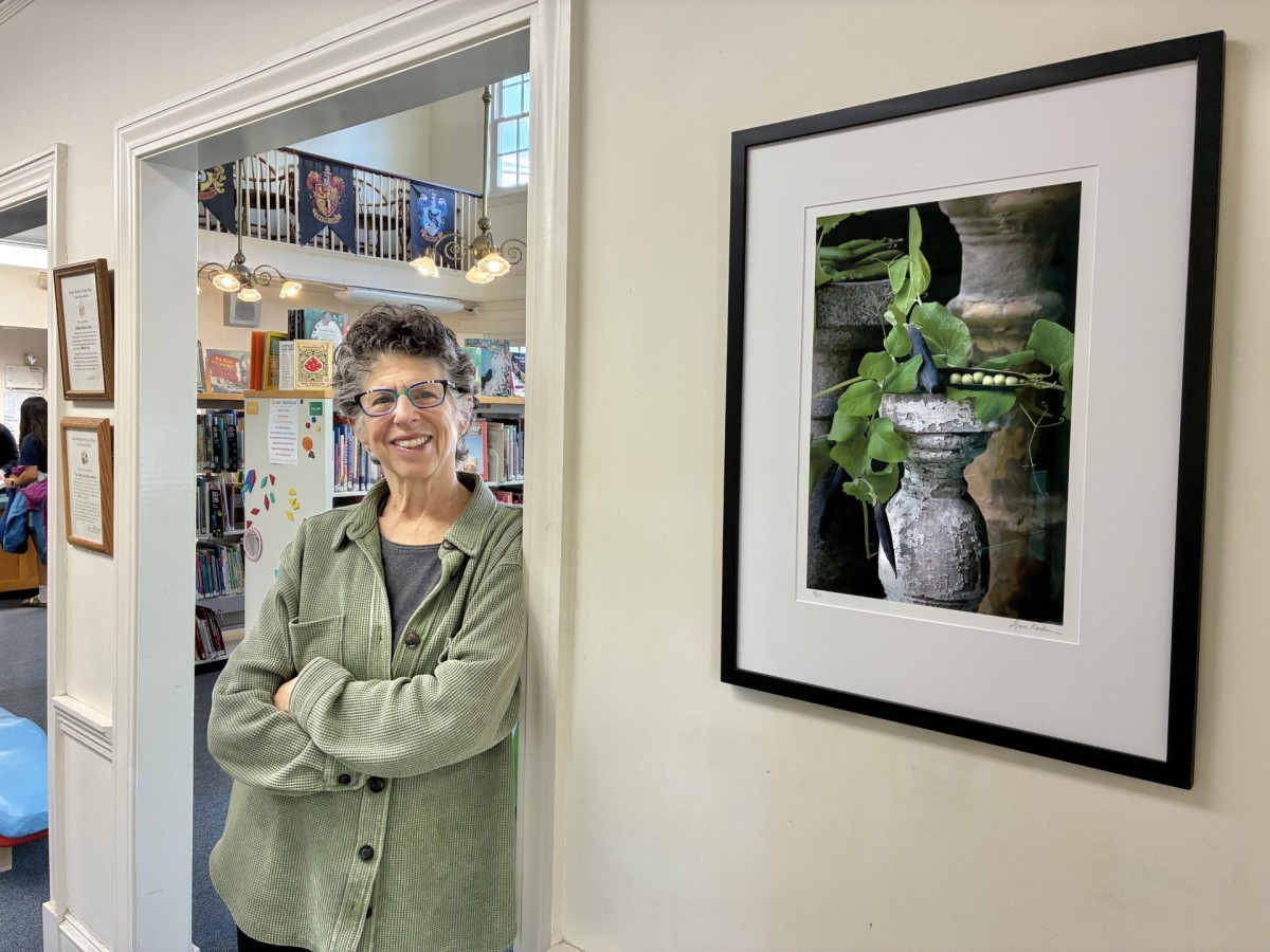 Lynn Karlin's Photo Exhibit "Nature's Grand Designs" Opens at the ...