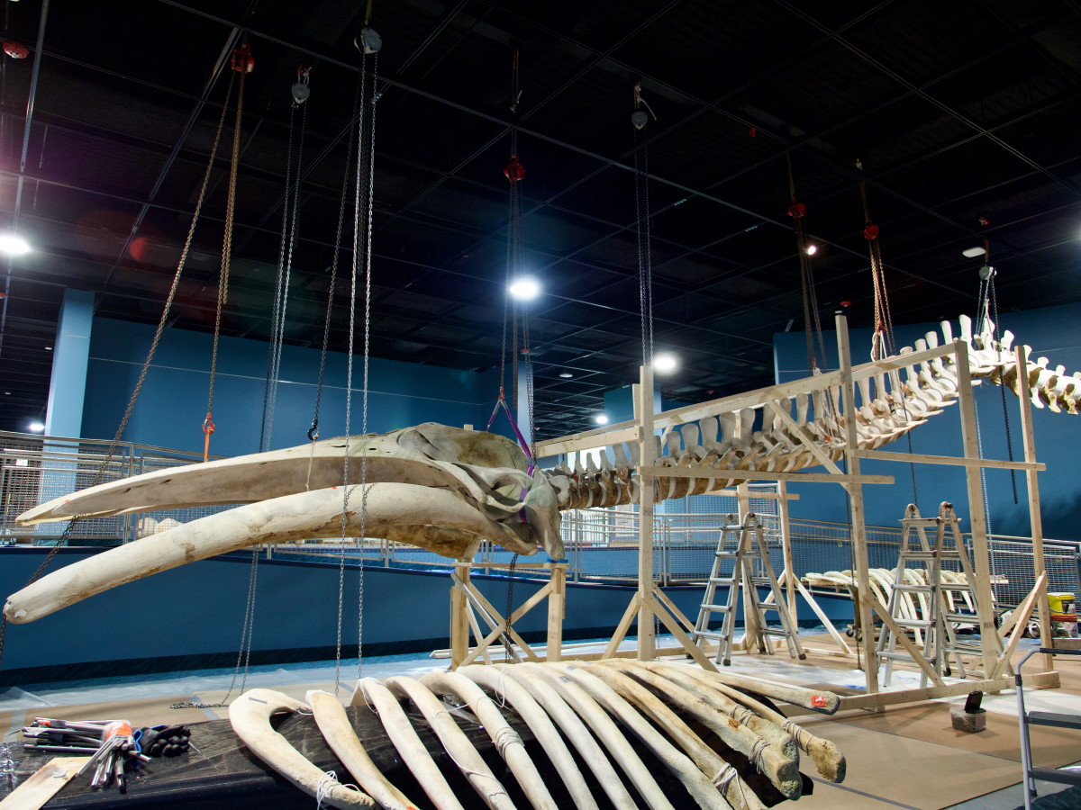 Maine State Museum | Visit Maine