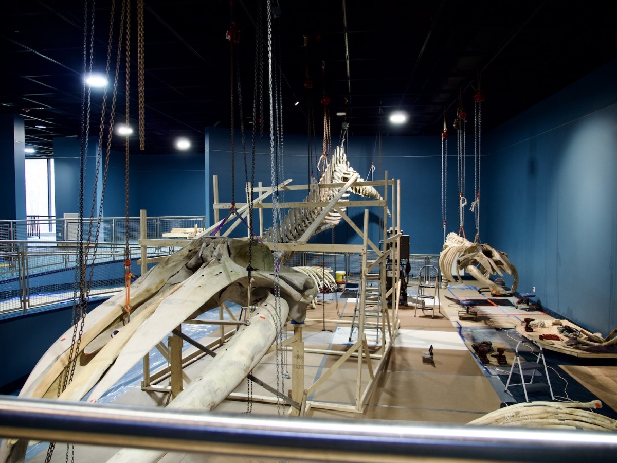 Maine State Museum | Visit Maine