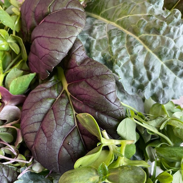 Visit Chicago Southland - Welcome WILDER FIELDS