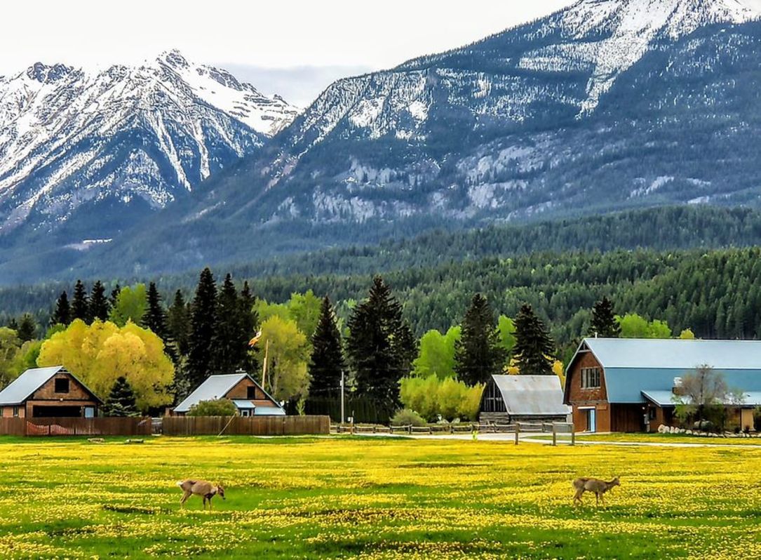 Golden Riverfront Campground | Travel British Columbia