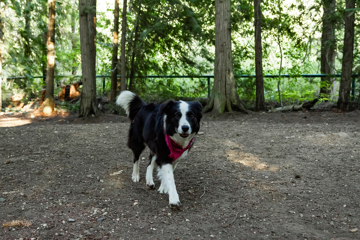 Whispering Pines RV Resort | Travel British Columbia