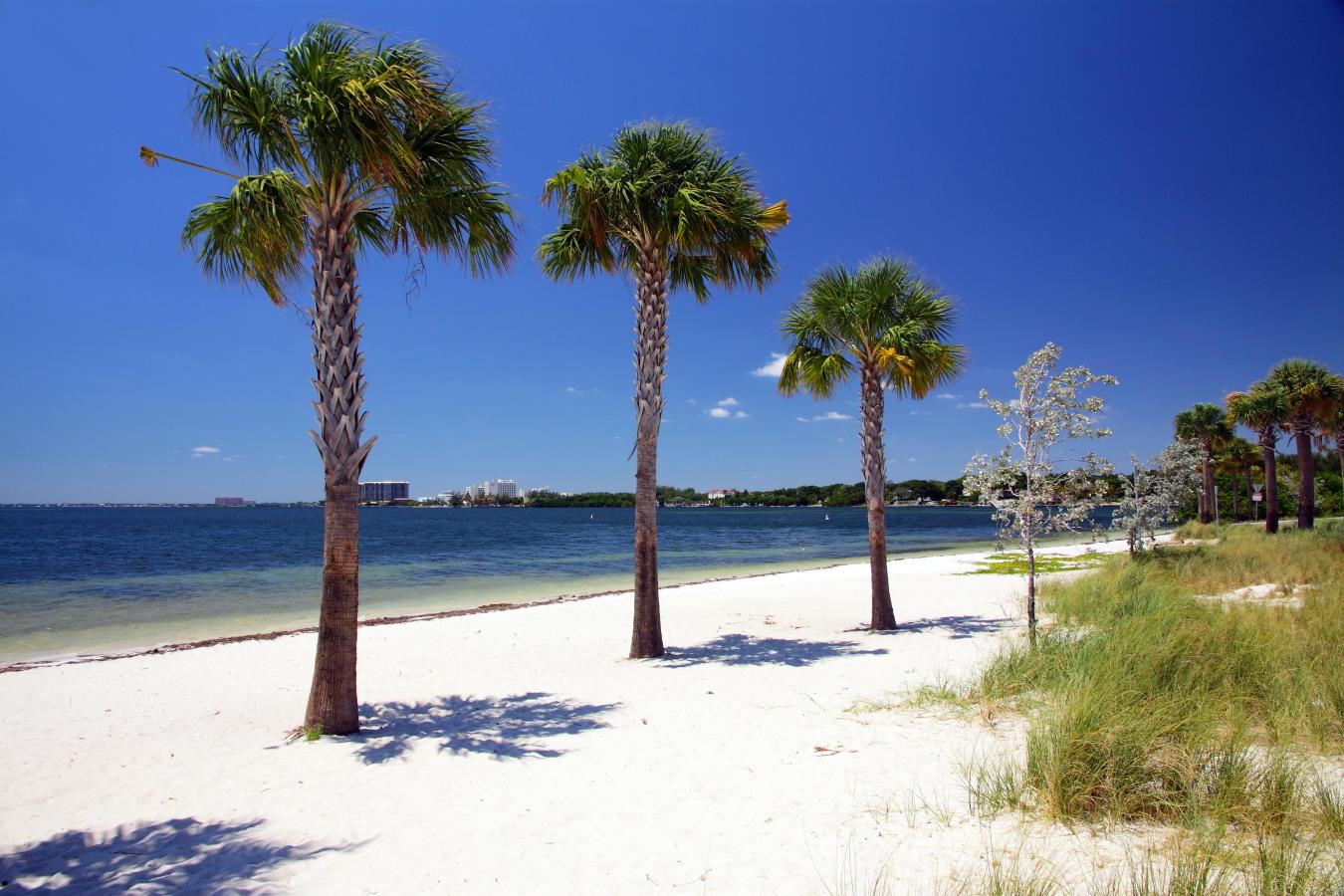 Hobie Beach - Windsurfer Beach | Greater Miami & Miami Beach
