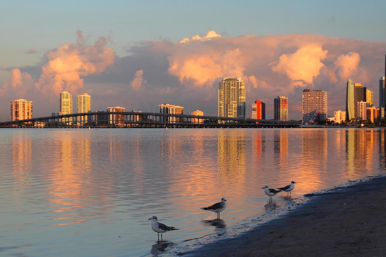 Hobie Beach - Windsurfer Beach | Greater Miami & Miami Beach
