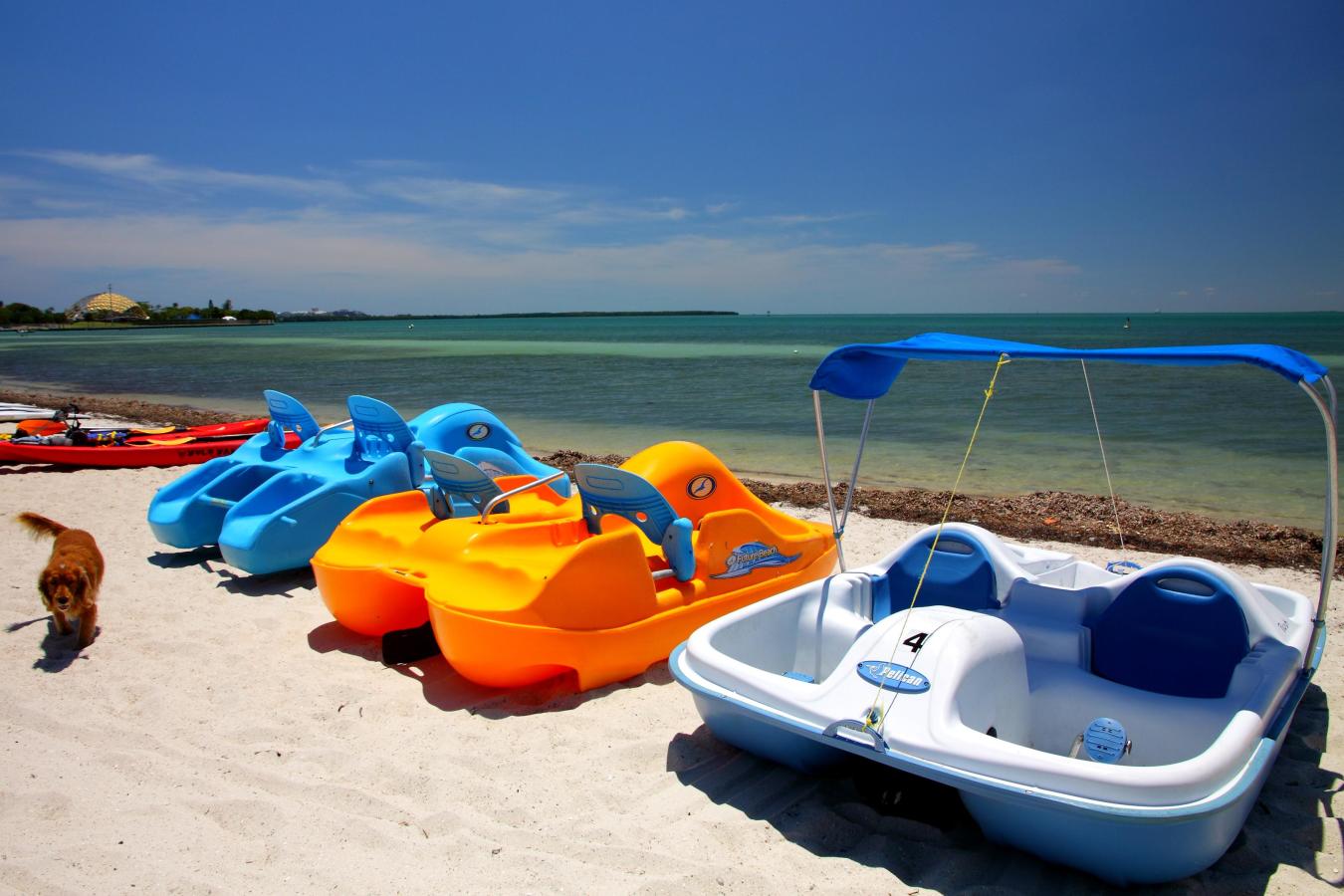 Hobie Beach - Windsurfer Beach | Greater Miami & Miami Beach
