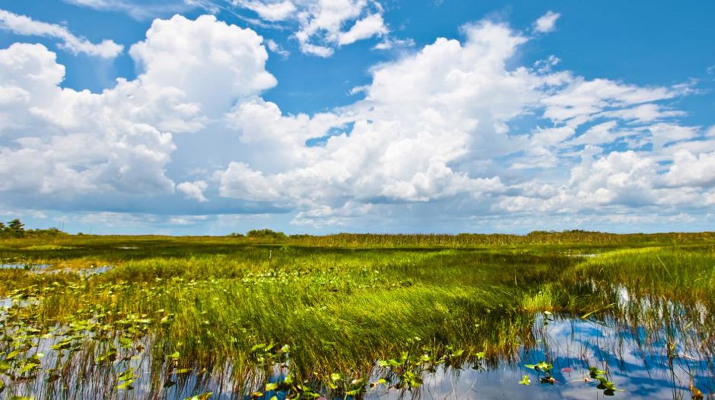 Miccosukee Tribe of Indians of Florida | Greater Miami & Miami Beach