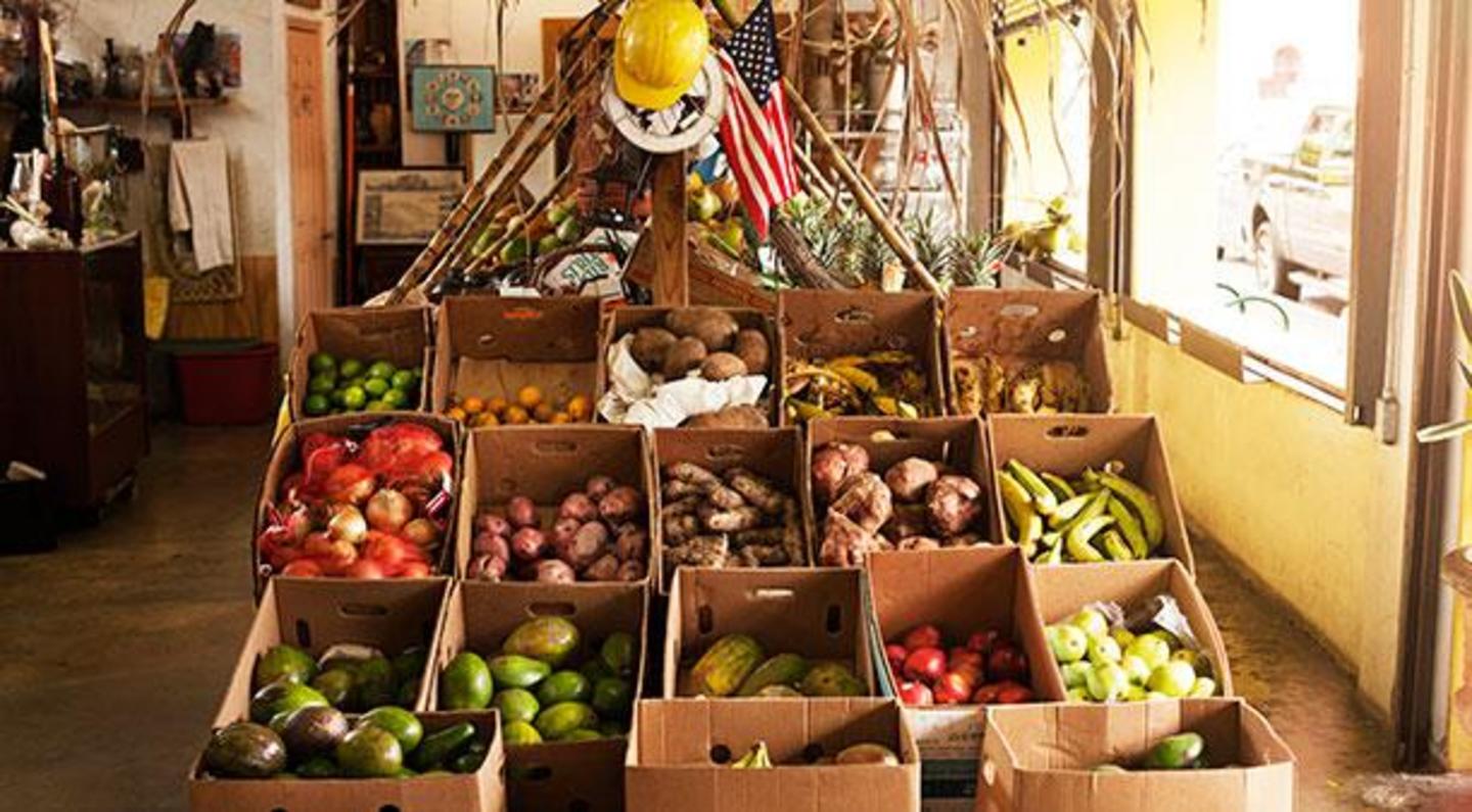 Los Pinarenos Fruteria | Greater Miami & Miami Beach
