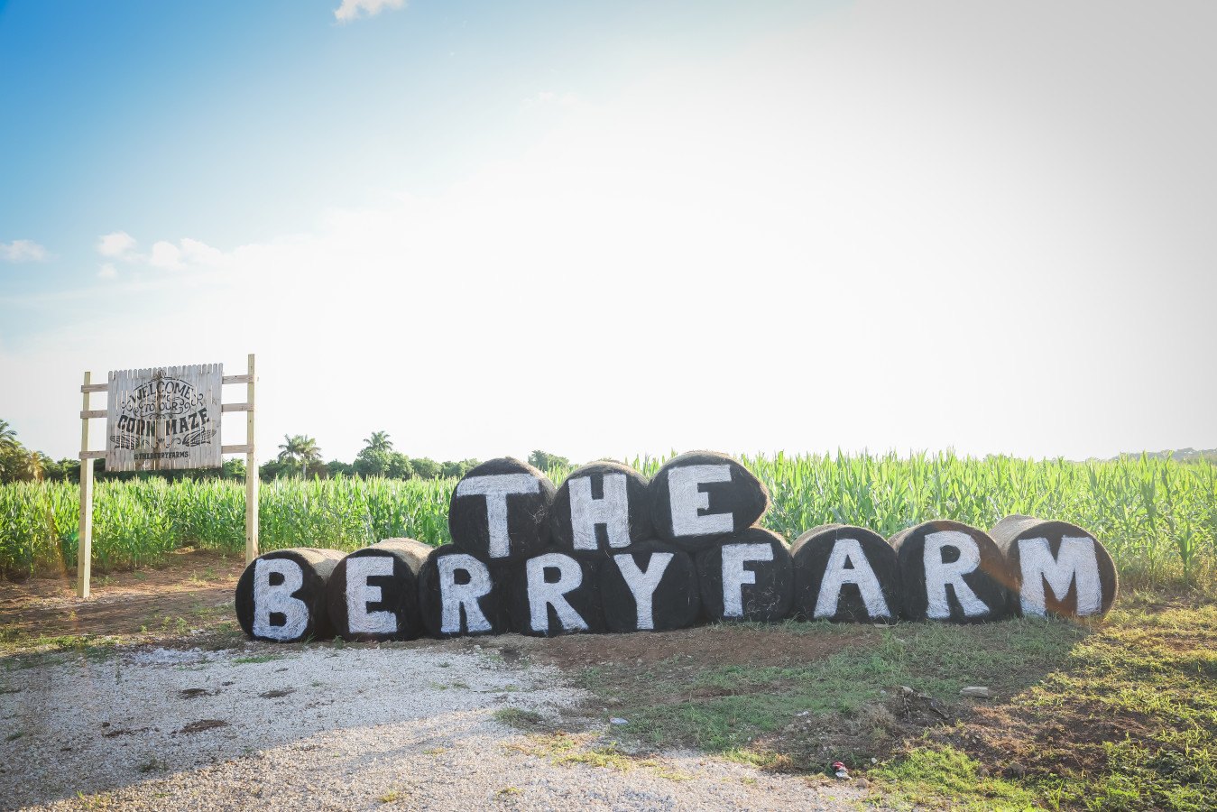The Berry Farm | Greater Miami & Miami Beach