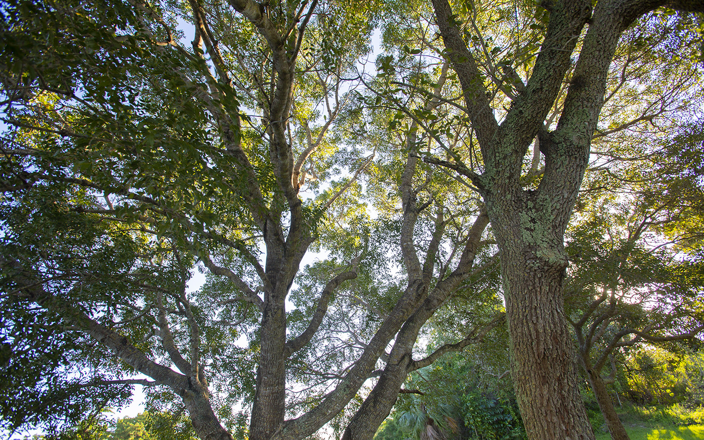Bill Sadowski Park & Nature Center | Greater Miami & Miami Beach