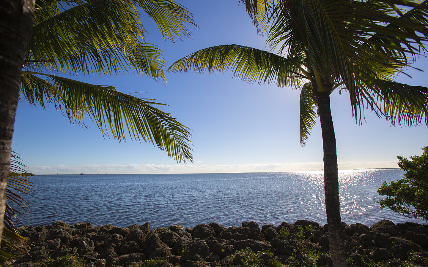 Homestead Bayfront Park | Greater Miami & Miami Beach