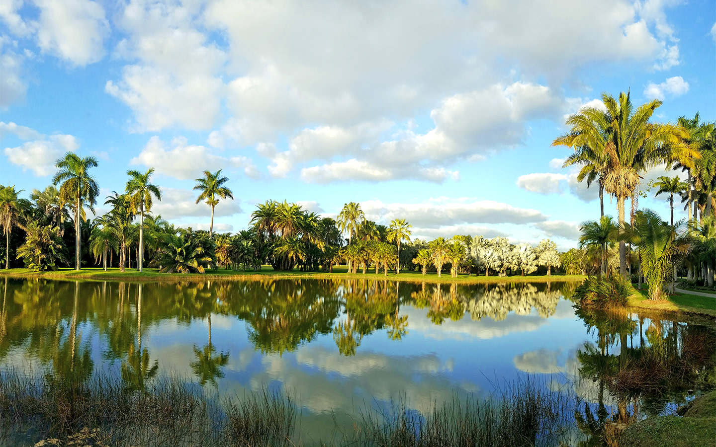 Visita Los Jardines Fairchild De Miami Miami, La Ciudad Del