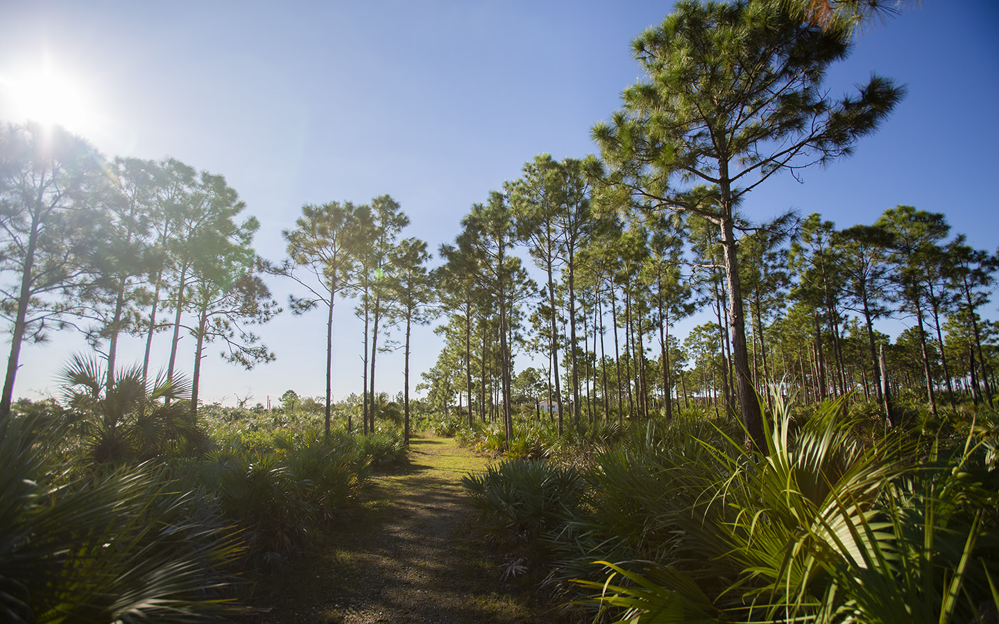 Larry & Penny Thompson Park | Greater Miami & Miami Beach