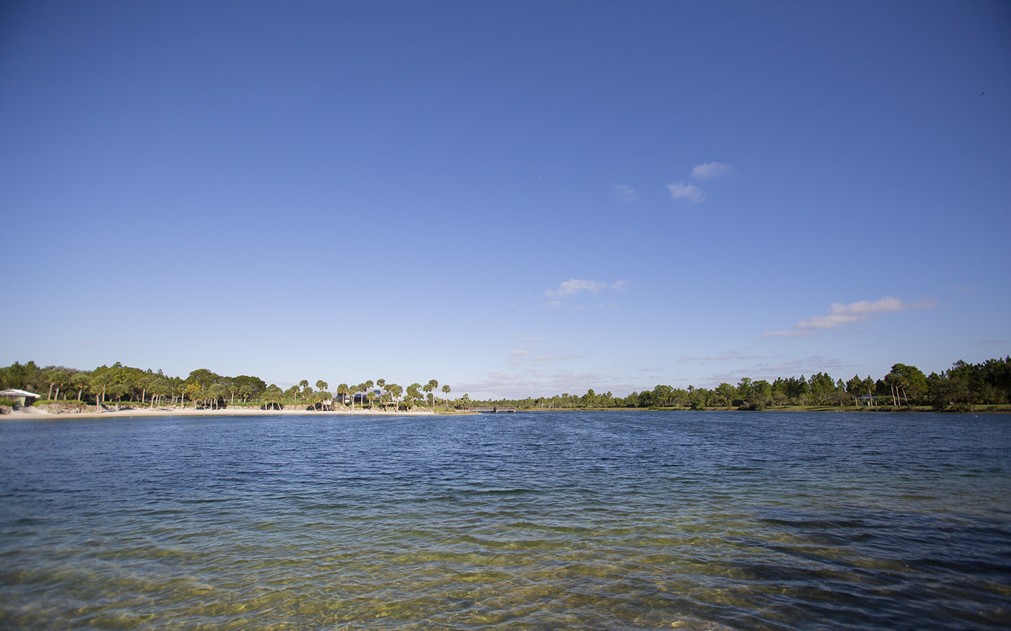 Larry & Penny Thompson Park | Greater Miami & Miami Beach