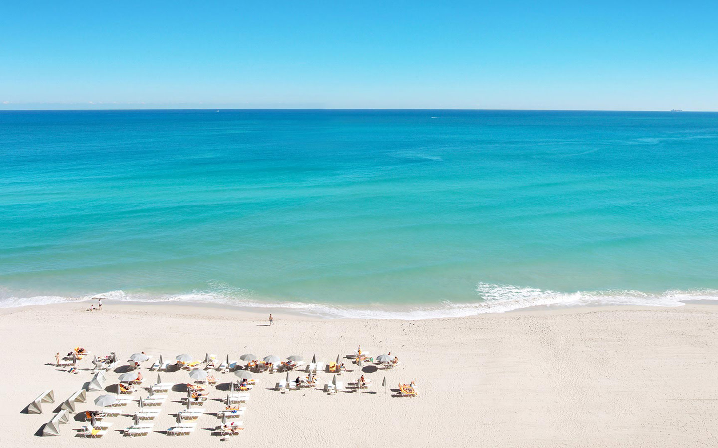 Solé Miami, A Noble House Resort | Greater Miami & Miami Beach