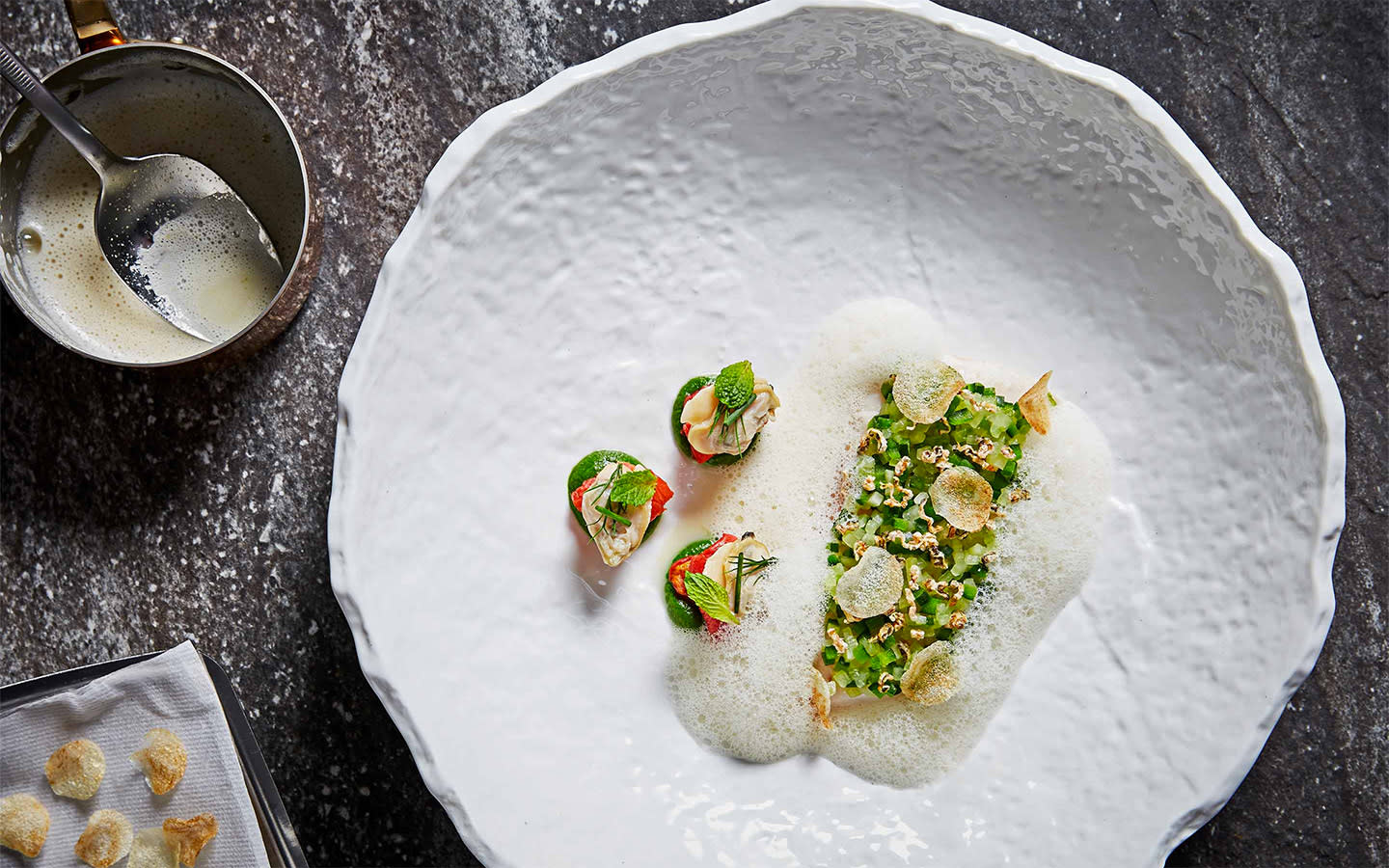 Stubborn Seed | Greater Miami & Miami Beach