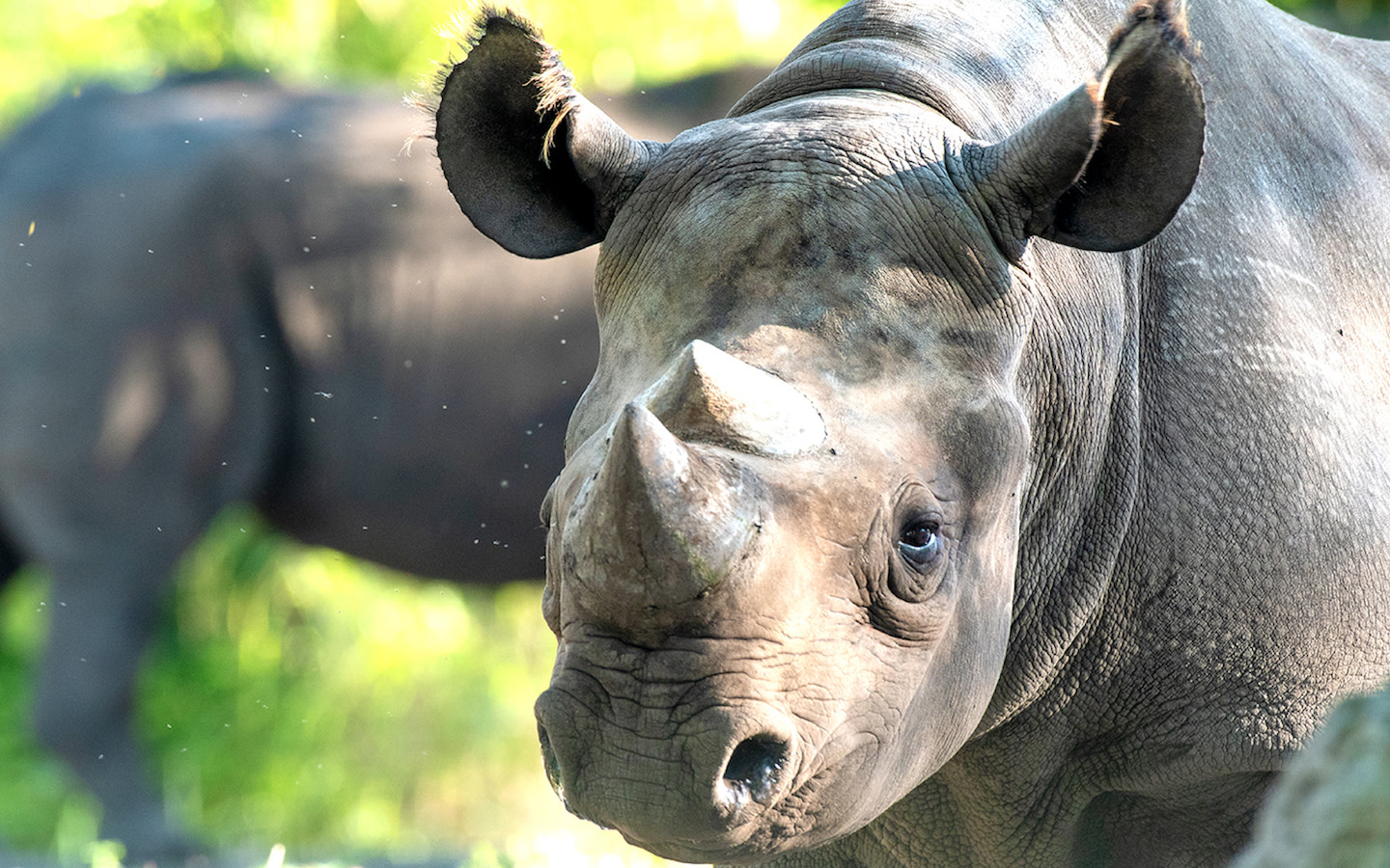 Zoo Miami | Greater Miami & Miami Beach