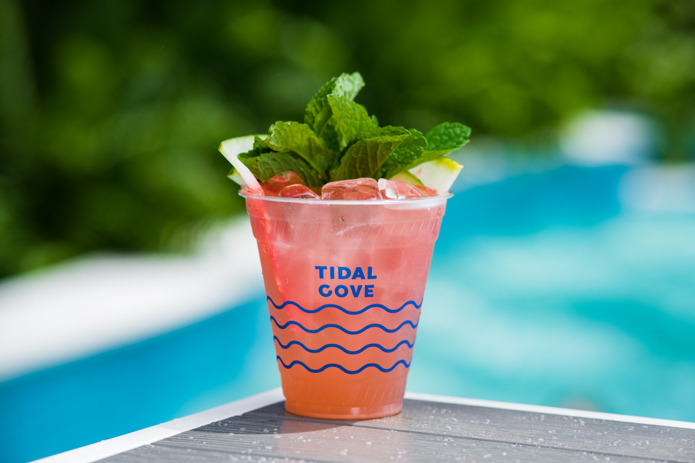 Tidal Cove | Greater Miami & Miami Beach