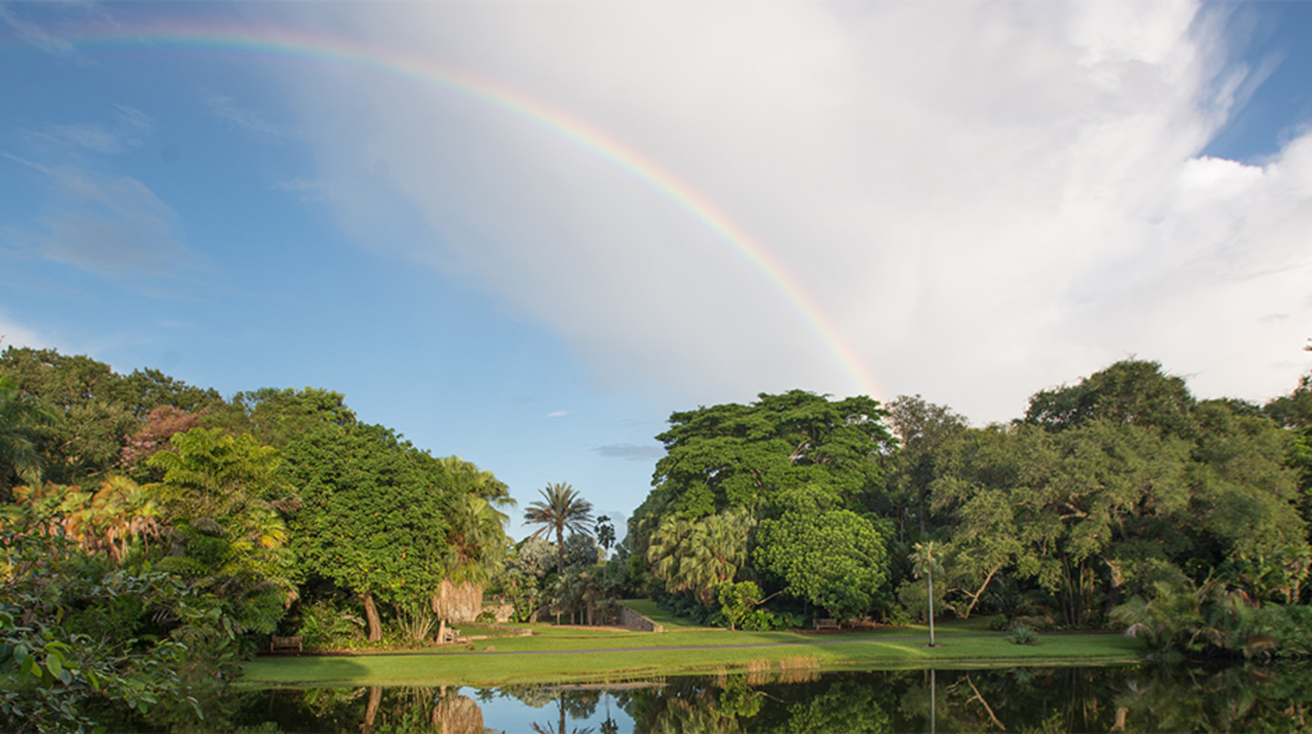 Fairchild Tropical Botanic Garden | Greater Miami & Miami Beach