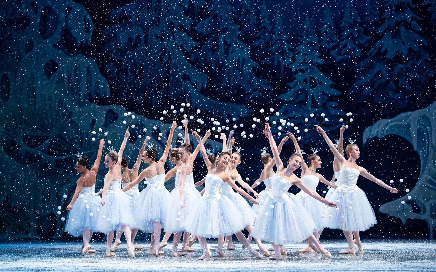 Miami City Ballet | Greater Miami & Miami Beach